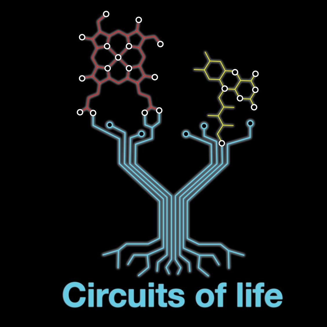 Circuits of Life – Constructing and Comprehending the Circuits of Life